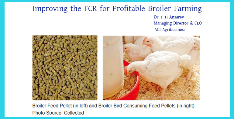 Welcome to Agrilife24 - Improving the FCR for Profitable Broiler Farming